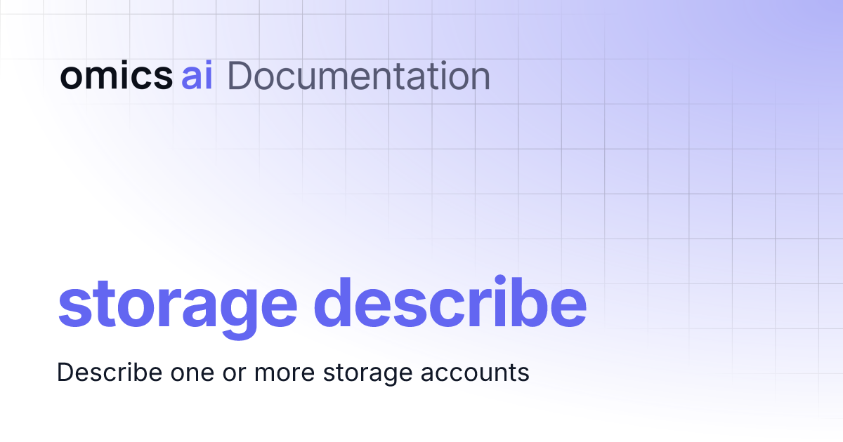 storage describe | Documentation